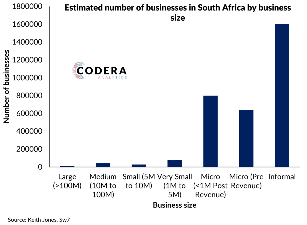 How many businesses are there in South Africa? - Codera Analytics